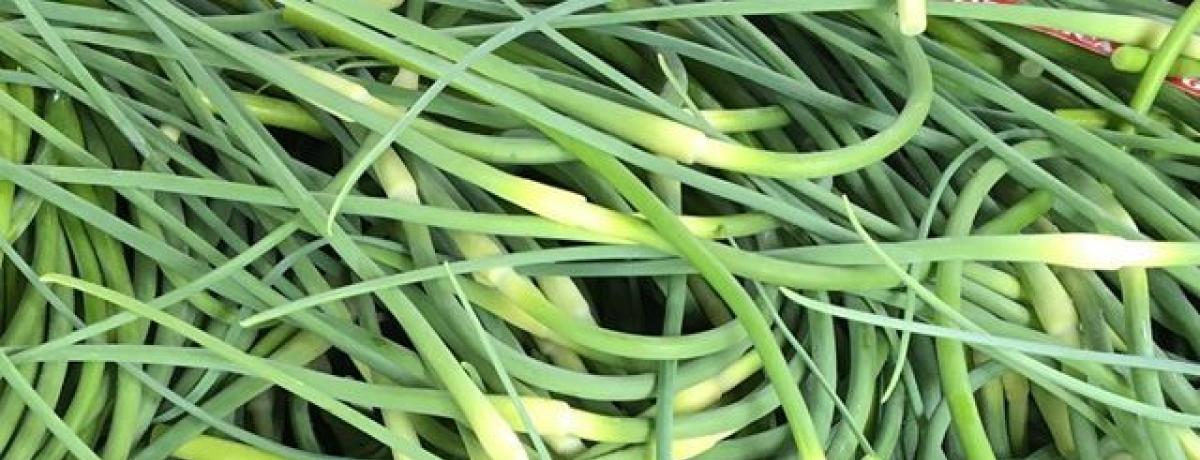 Recipe of the Week - Garlic Scape & Chive Hummus | Dane County Farmers ...