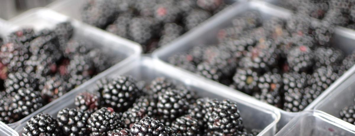 Yang's Fresh Produce | Dane County Farmers’ Market